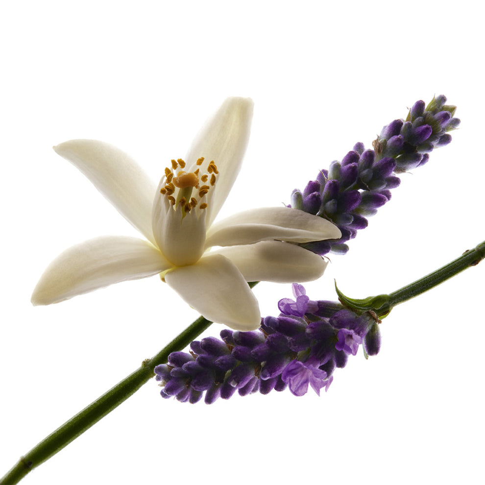 YSL Libre Eau De Parfum 30Ml